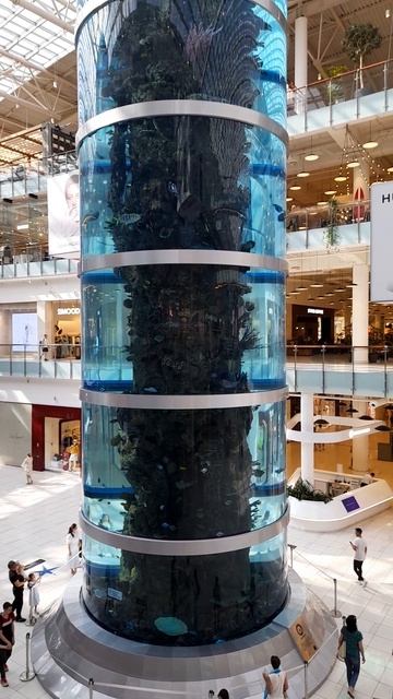 авиапарк аквариум