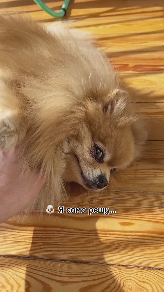 Бася сама решает!