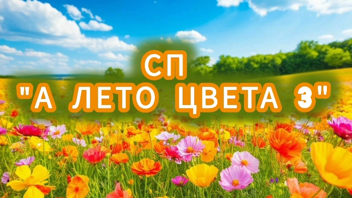 СП "А ЛЕТО ЦВЕТА 3" с Людмилой Краснопëровой/ 4 отчет/ участник 74