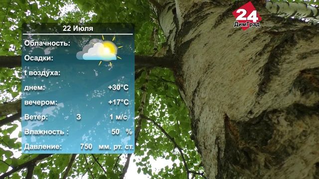 Погода на завтра. 21.07.2025