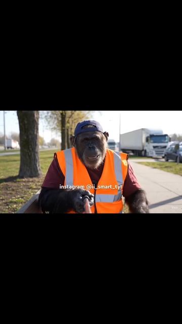 Жора дальнобойщик