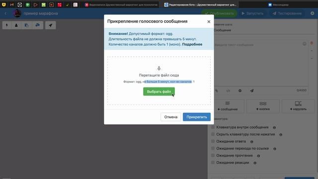 как создать чат-бот в сенлере для марафона/ежедневных практик и тп