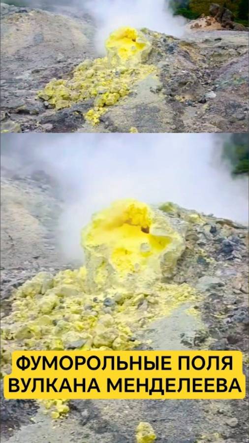 Фумарольные поля вулкана Менделеева на острове Кунашир (Курилы)