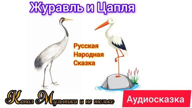 Журавль и Цапля | Народные сказки | Сказки детям 📚 | Сказка на ночь 😴 Аудиосказки 📖🙂