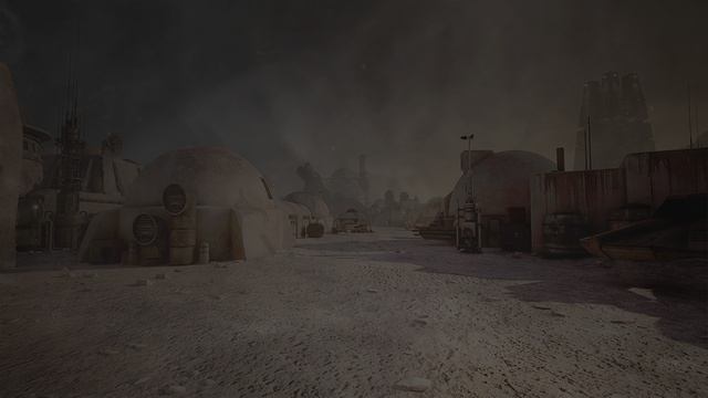 06 - A day in the life of a mammal