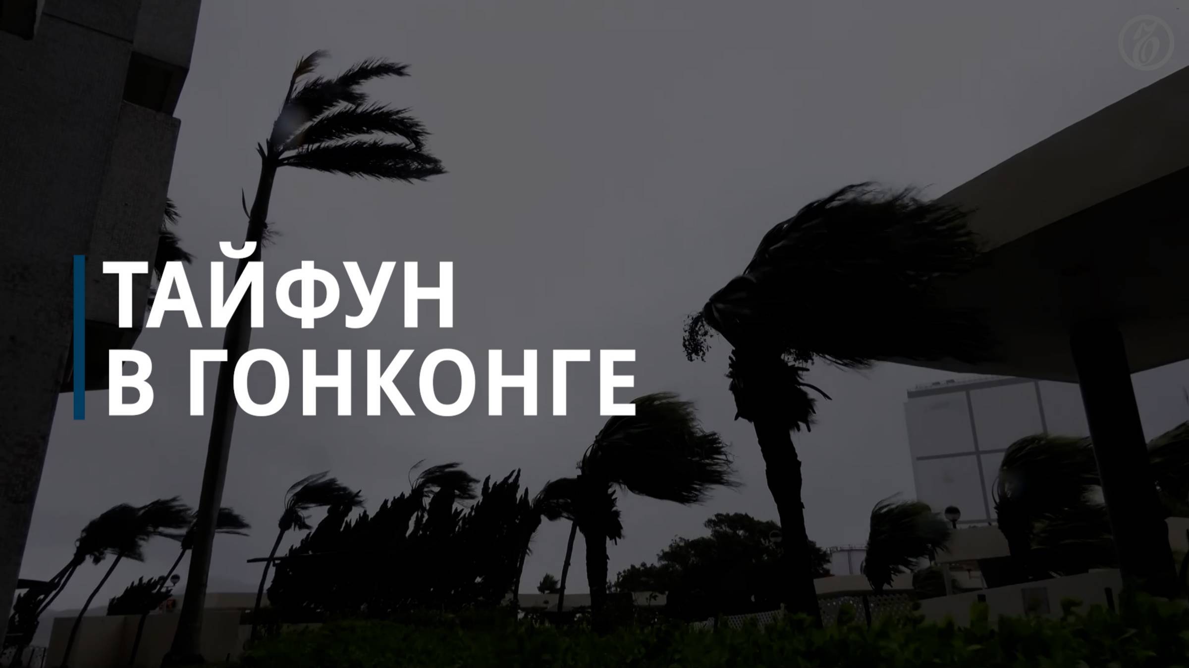 Более 20 жителей Гонконга пострадали из-за тайфуна
