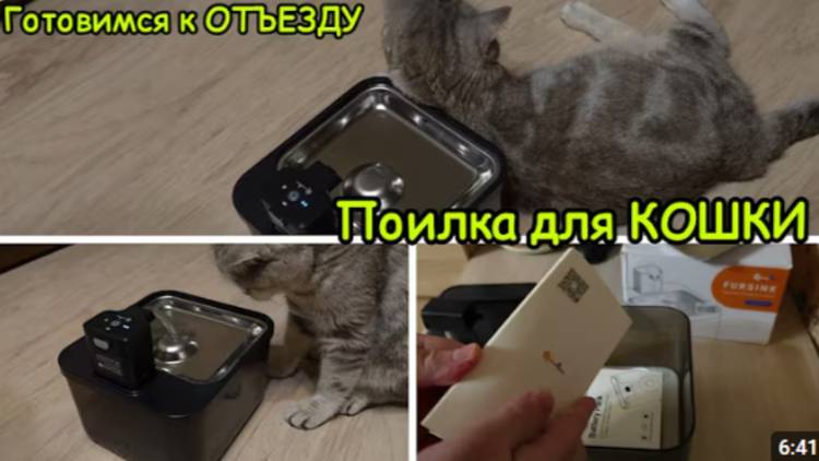 2166 ПЕРЕД ПОЕЗДКОЙ\ПОКУПКА ПОИЛКА для КОШКИ\ОБЗОР КЛАССНОЙ ПОИЛКИ ФОНТАНА для ПИТОМЦА\РЕАКЦИЯ АСИ