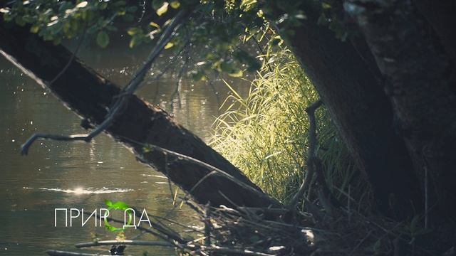 Река Чур, The Chur River