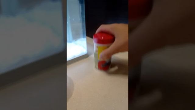 у нас теперь есть новый друг