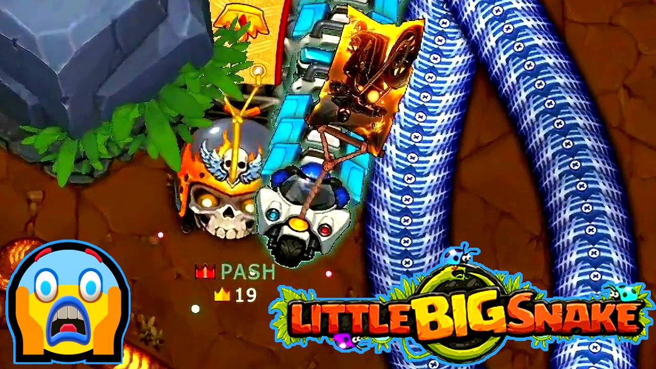 🐍Little Big Snake🐞The situation is critical. 😂👍