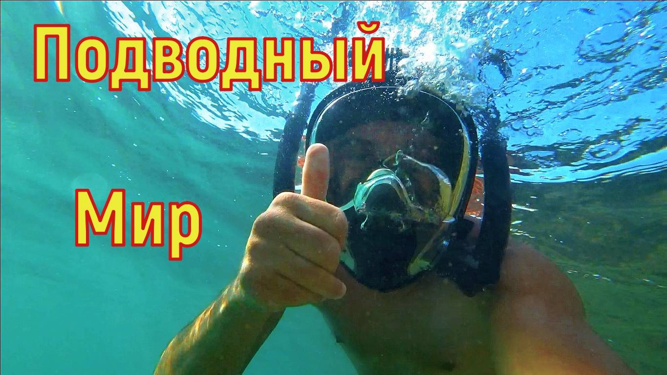 Подводный Мир