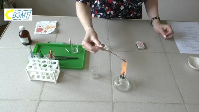 Лабораторная работа 1