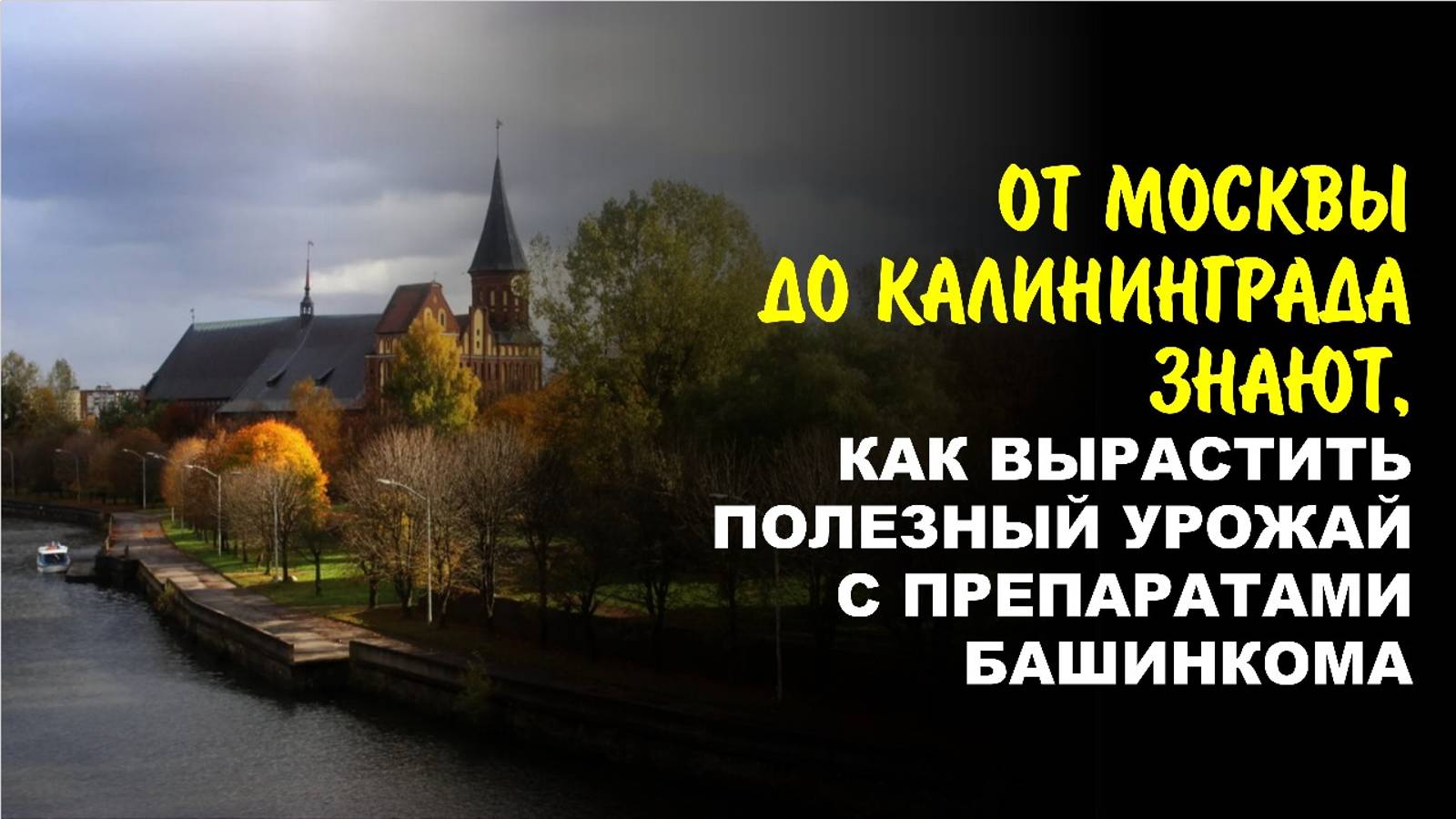 Озимая пшеница по биотехнологии АС-35. Великолепные результаты!