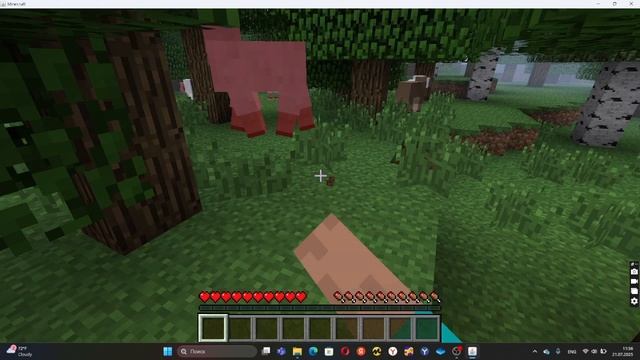 Нашел у себя версию Minecraft ERROR323