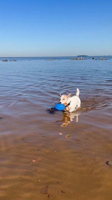 Хорошо погуляли