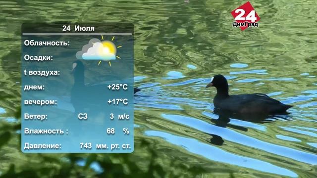 Погода на завтра. 23.07.2025