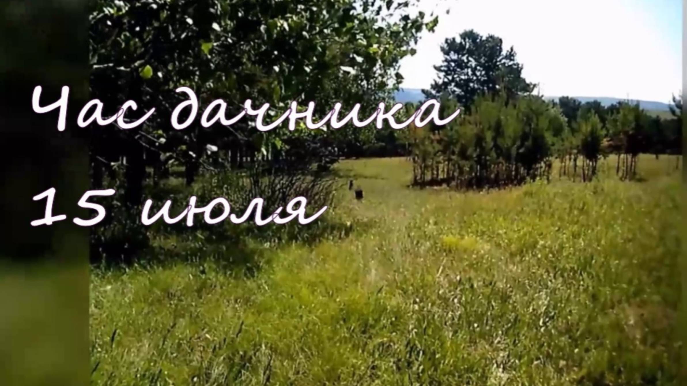 Чудо сенокос