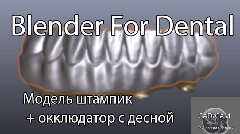 2) Модель штампик + окклюдатор с десной