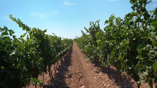 Усадьба Александровская