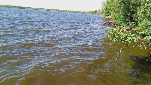 Исетское озеро штормит . Рыбалка с берега на поплавок .
