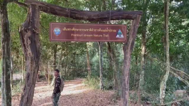 Дикий Таиланд. Национальный парк Каенг Крачан. Джунгли