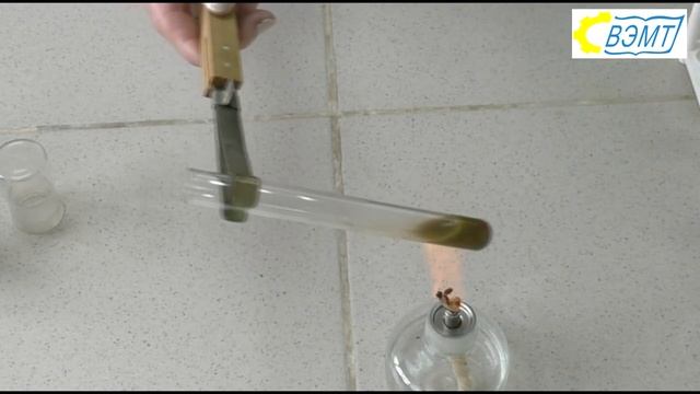 Лабораторная работа Углеводы