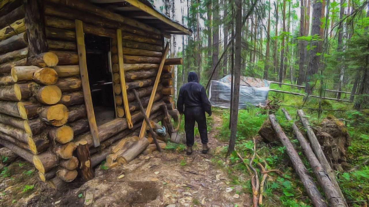 Одиночка в лесу: высокое крыльцо, странный обед и армия кровососов