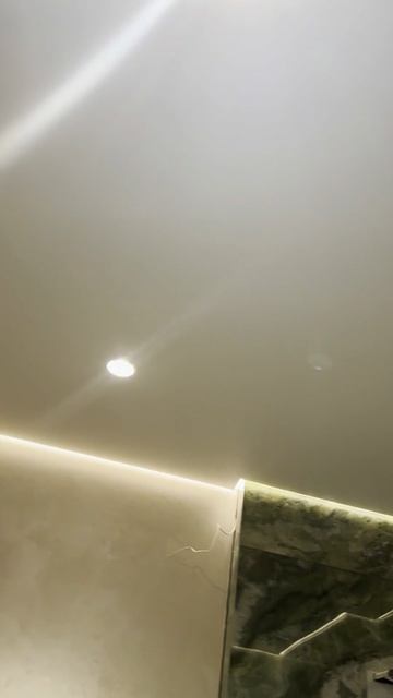 Img 3764
