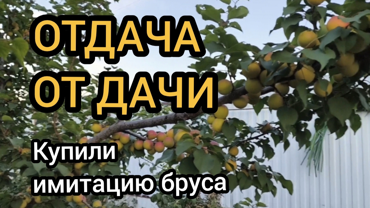 Купили имитацию бруса для внутренней отделки 19-20.07.2025