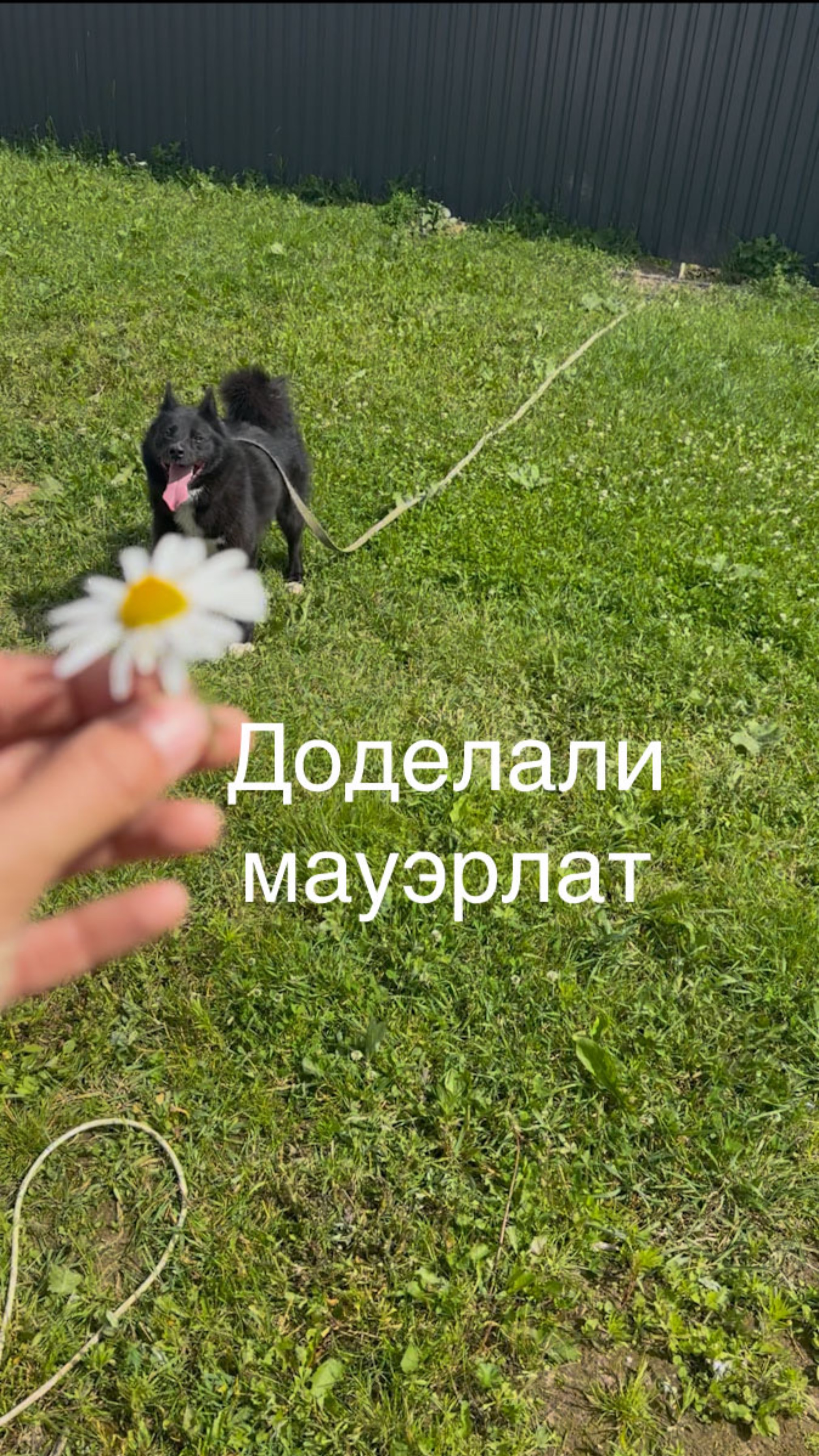 Установкой мауэрлата отметили день семьи, любви и верности #сезонконтентаRUTUBE