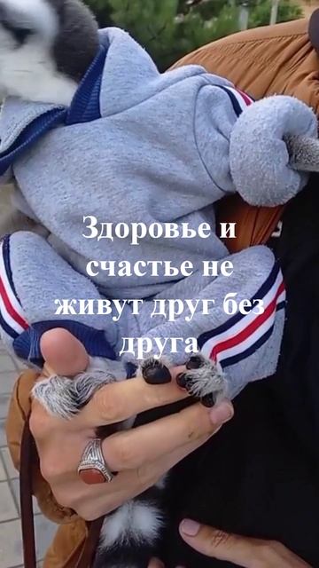 Здоровый дух в здоровом теле.