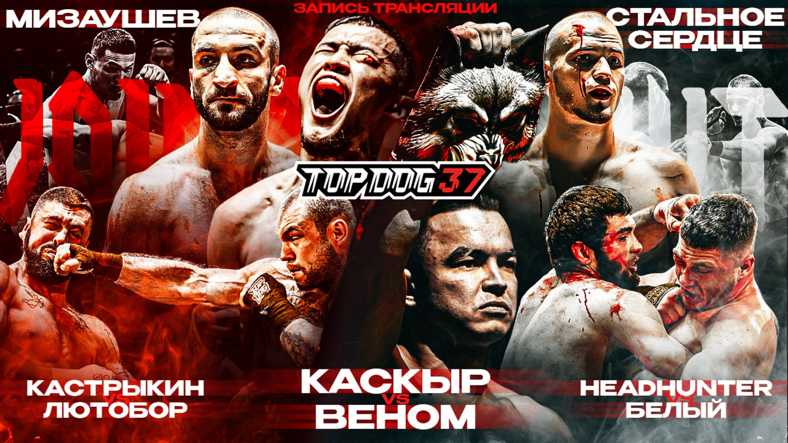 Каскыр VS Веном, Мизаушев VS Стальное Сердце, Кастрыкин VS Лютобор | TOP DOG 37, Москва