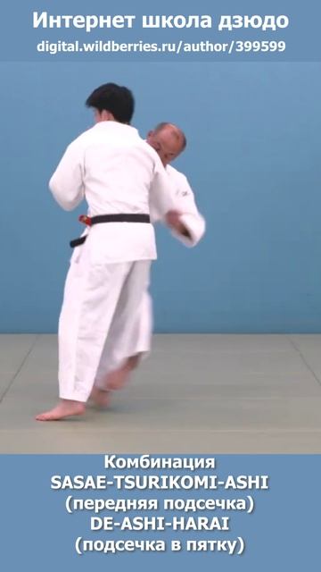 Итернет школа дзюдо. Комбинация приёмов 2.