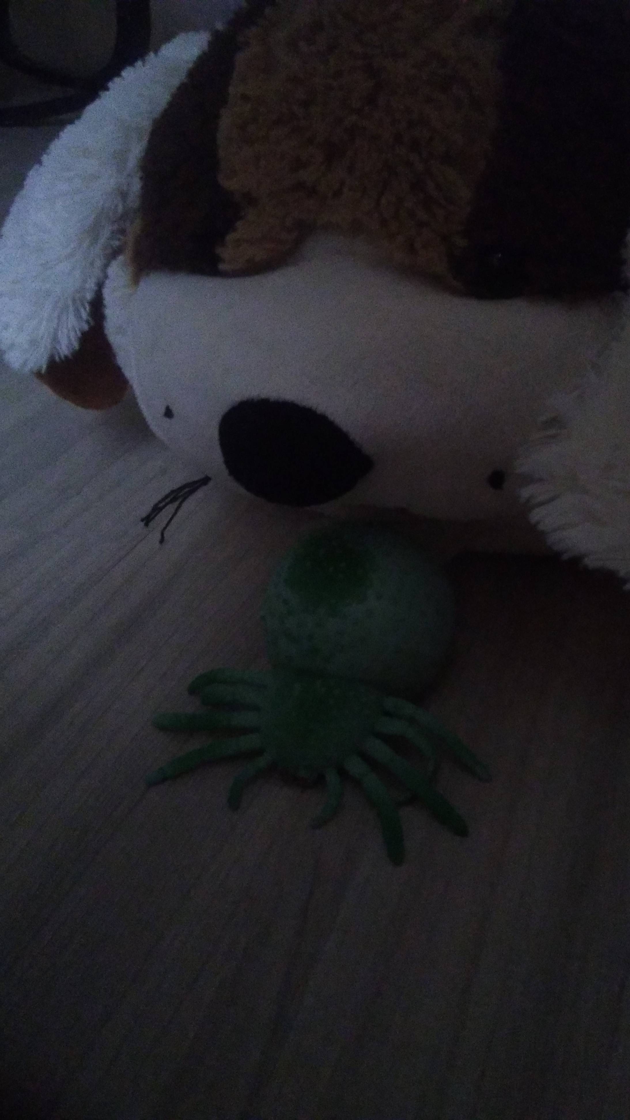 Пупкин паук нашел большего пёселя!