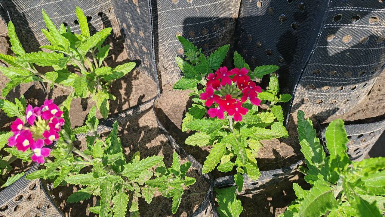 Как применить объемную георешетку в ландшафтном дизайне