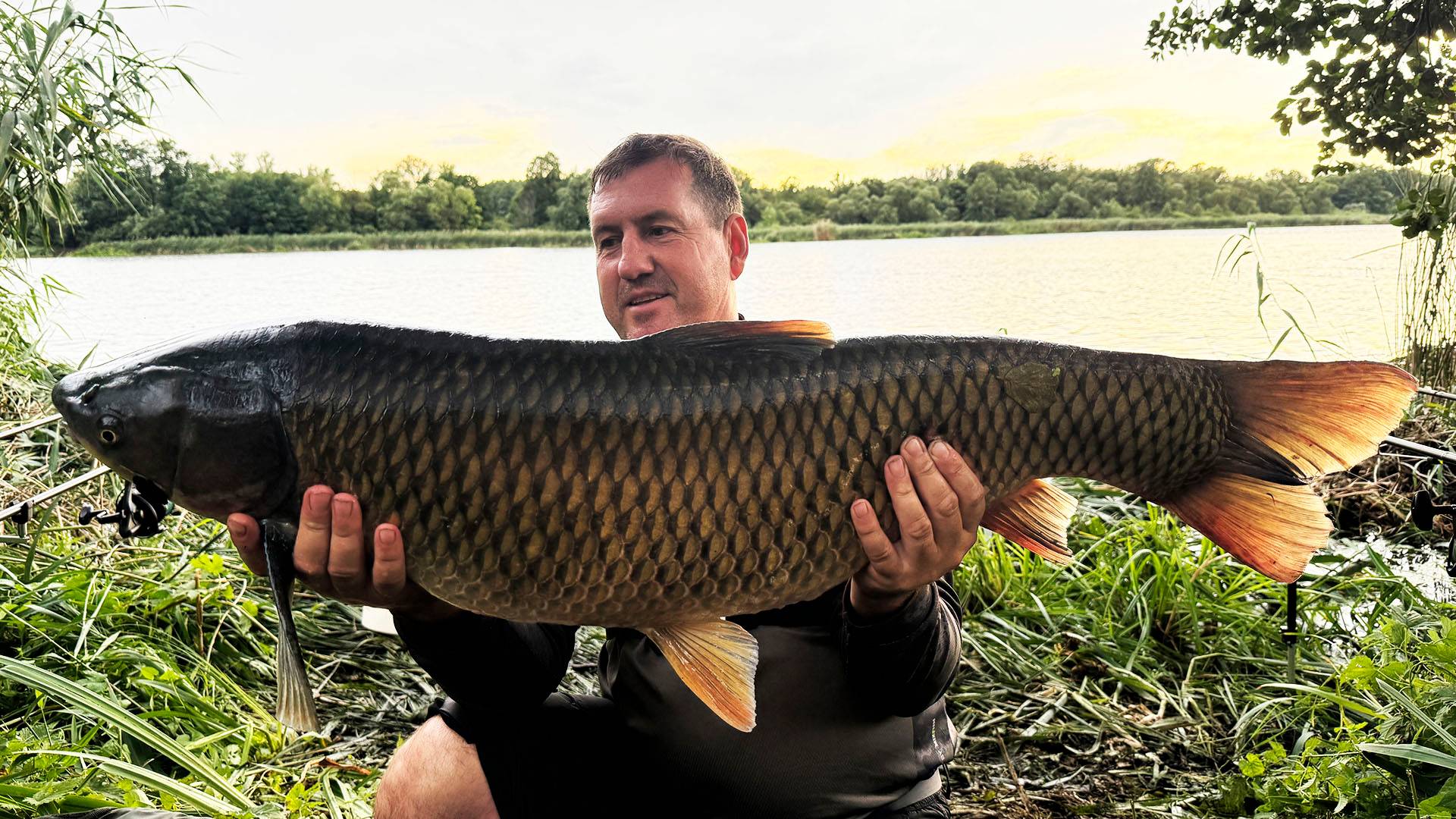 Бешенные поклёвки больших Амуров! Прикормил место и рыба подошла!