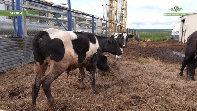 Подводим итоги дня вместе с корреспондентами «Мужи-Информ».