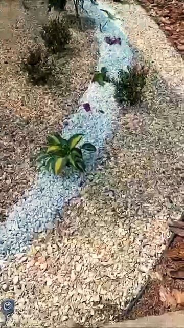 Идея: как оформить участок с лесной зоной. Миксбордеры и извилистая дорожка.