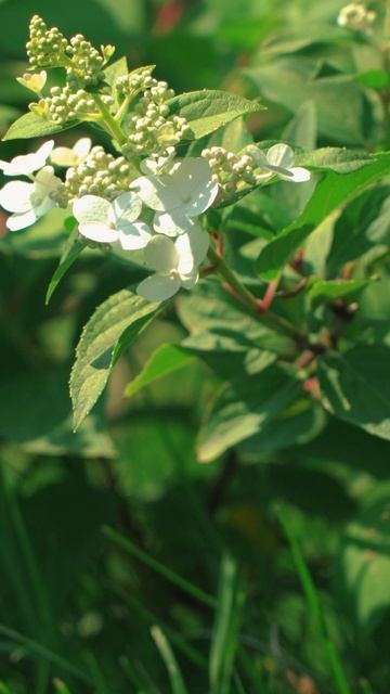 Атмосфера отпуска в ЖК «Бунин»!
