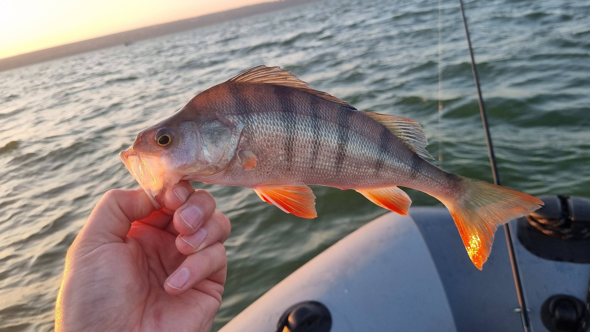 Косим ГОРБАЧЕЙ на водохранилище!) Когда попал на КЛЁВ!