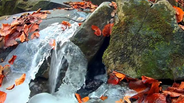 Музыка для сна способствует исцелению и глубокому расслаблению