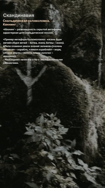 11. Скандинавия