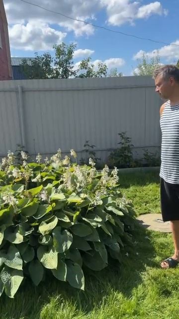 Отзыв - Чистка и восстановление скважины в Сергиевом посаде