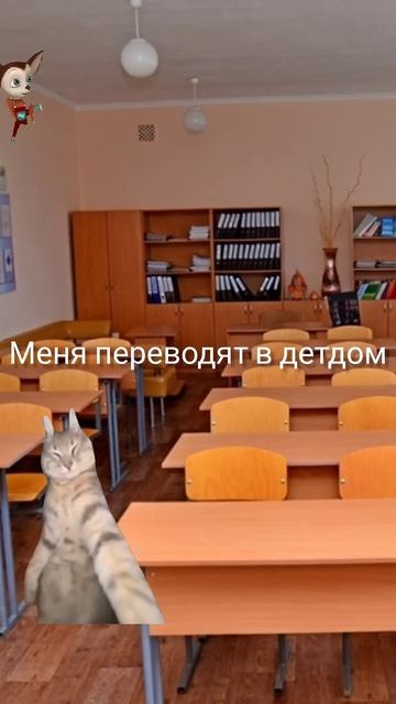 Та самая 2 группа по английскому (пародия с котами) #video #cat #shorts #meme