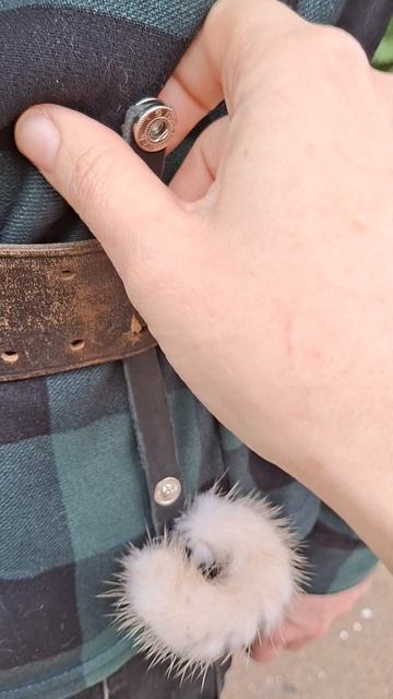 ведьмино веретено