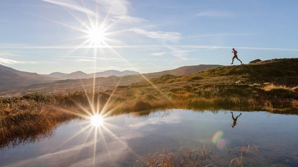 АЛЬФА-ЦЕНТАВРА. О представителях инопланетной цивилизации, которые часто стали воплощаться на Земле