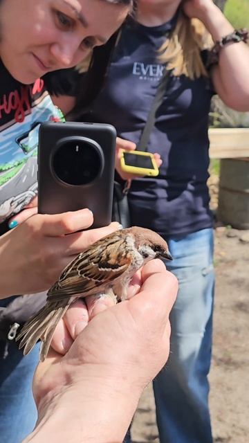 Станция кольцевания птиц «Туровский луг» #belarustravel #беларусь #природа