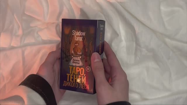 Смотрим колоду «Таро Теней Дикого Леса»