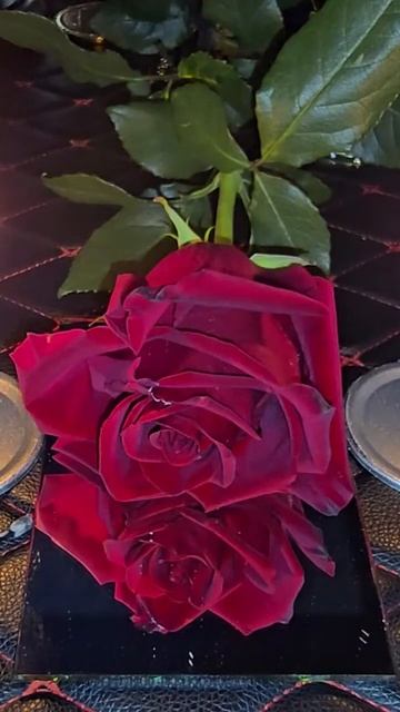 Магия любви. Тайный вызов любимого ✨