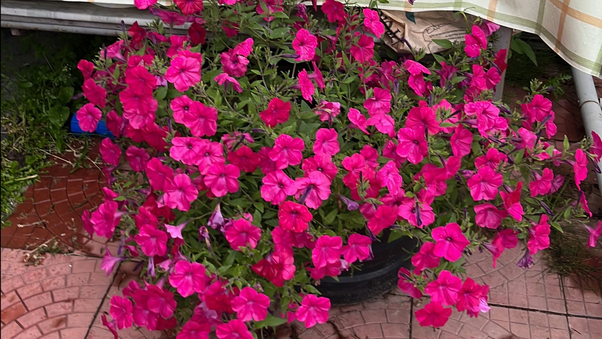 Арты НЕ СУДИТЕ СТРОГО